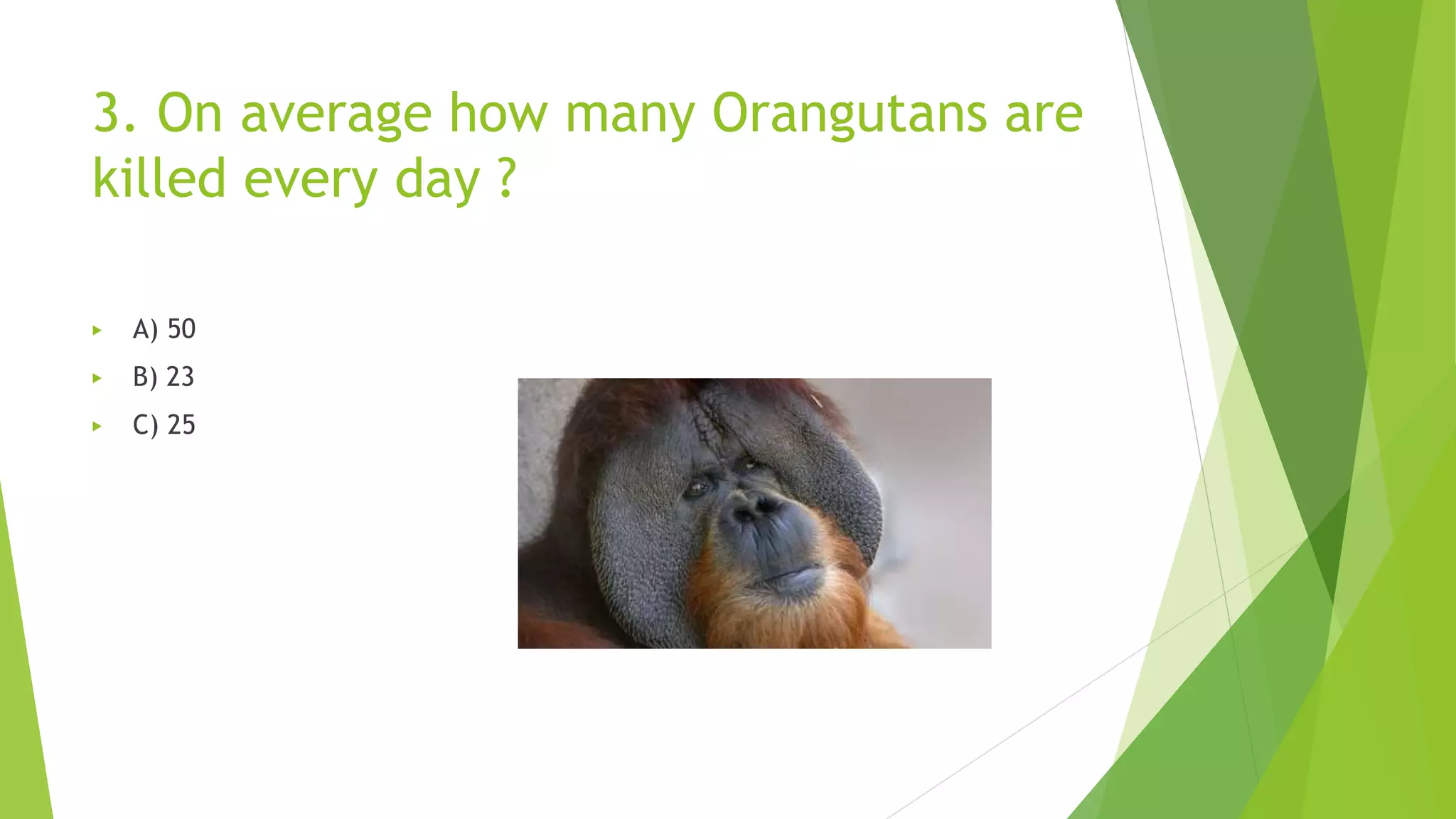 Orangutan quiz! | PPT | Free Download