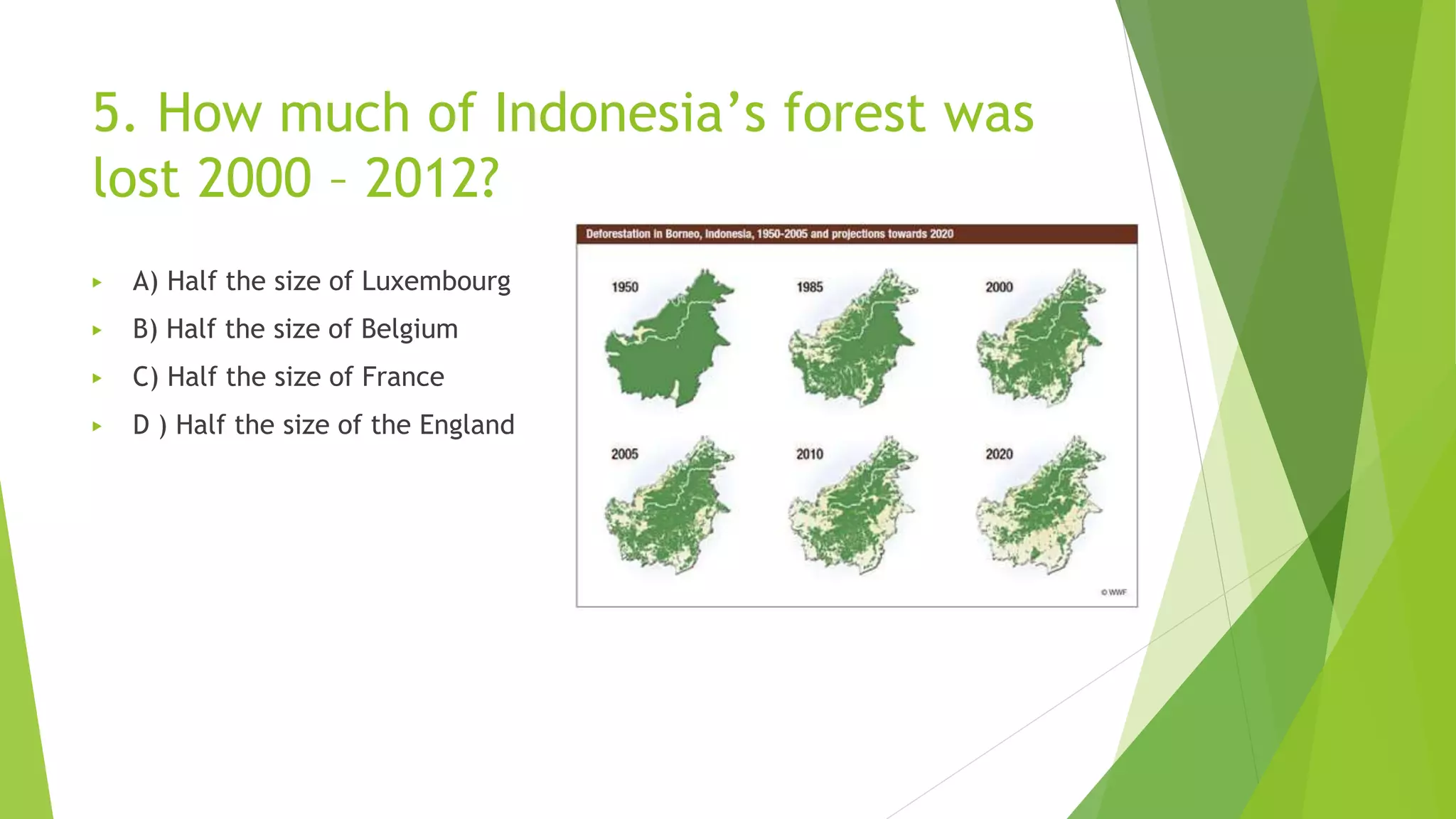 Orangutan quiz! | PPT | Free Download