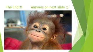 Orangutan quiz! | PPT