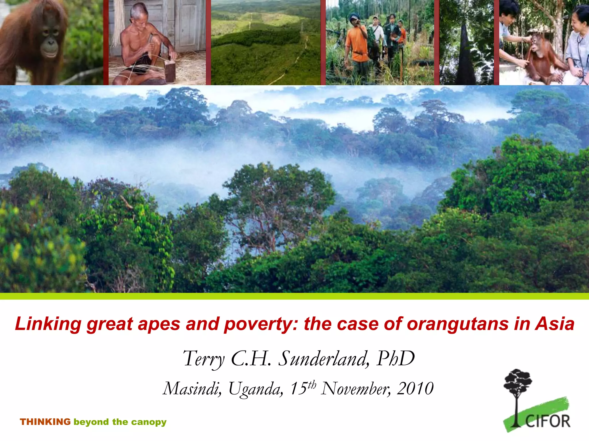 Linking great apes and poverty: the case of orangutans in Asia | PPT