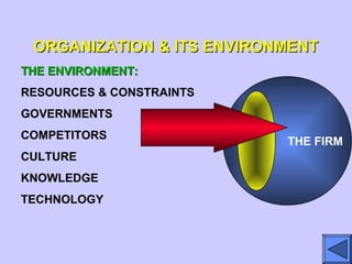 Oranization structure and design | PPT