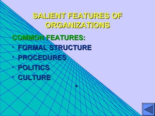 Oranization structure and design | PPT