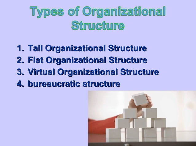 Oranization Structure And Design Ppt