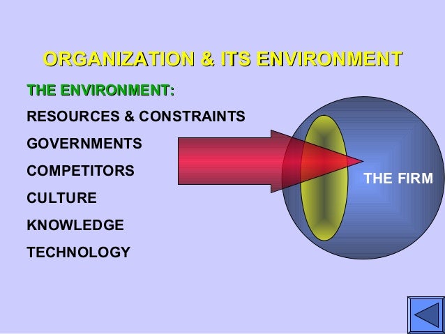 Oranization Structure And Design