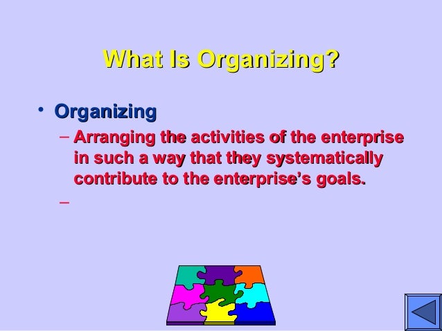Oranization Structure And Design