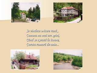 Orasul Meu Aninoasa | PPT