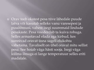 Orav | PPTX