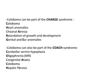 Diagnostic Imaging of Orbital Lesions | PPT