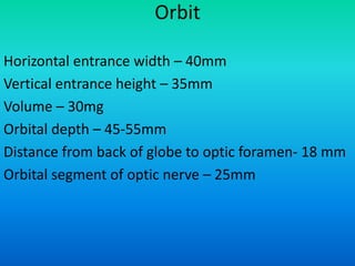 Orbit Anatomy | PPTX | Ear, Nose and Throat Conditions | Diseases and ...