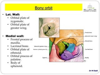 Orbital Process