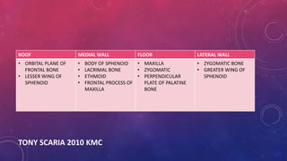 Orbit OPHTHALMOLOGY REVISION NOTES | PPT