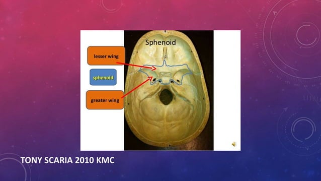 Orbit OPHTHALMOLOGY REVISION NOTES | PPT