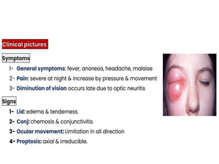 Orbit (anatomy and diseases) for medical students | PPTX
