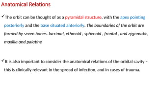 (Orbit).khyber medical college peshawar.. | PPT