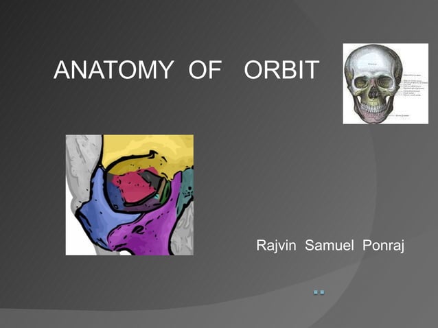 Orbit anatomy | PPT | Death, Injury, or Military Conflict | Sensitive ...
