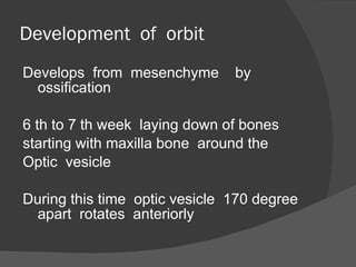 Orbit anatomy | PPT
