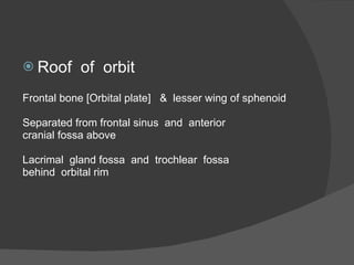 Orbit anatomy | PPT