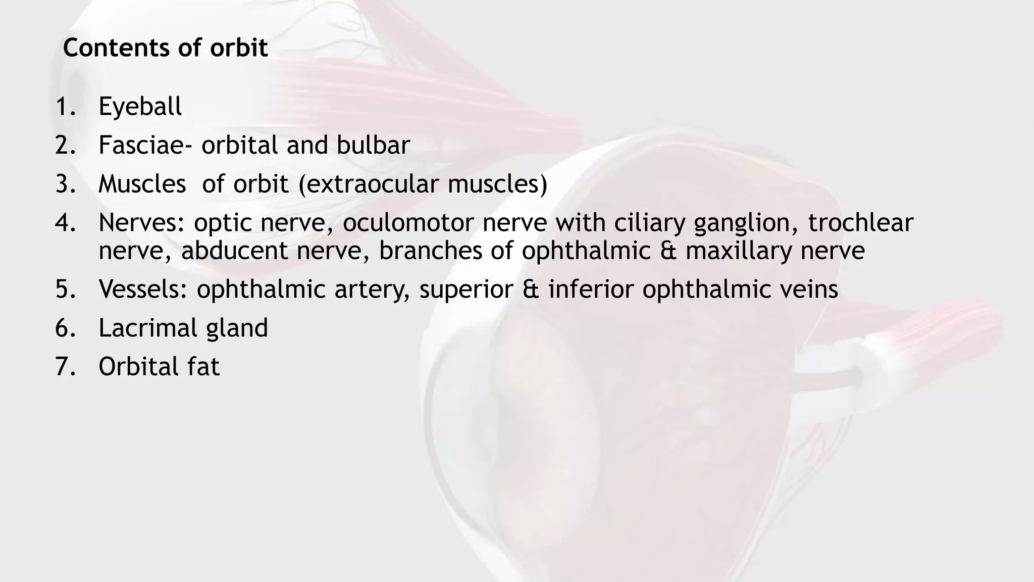 Anatomy of Orbit | PPTX