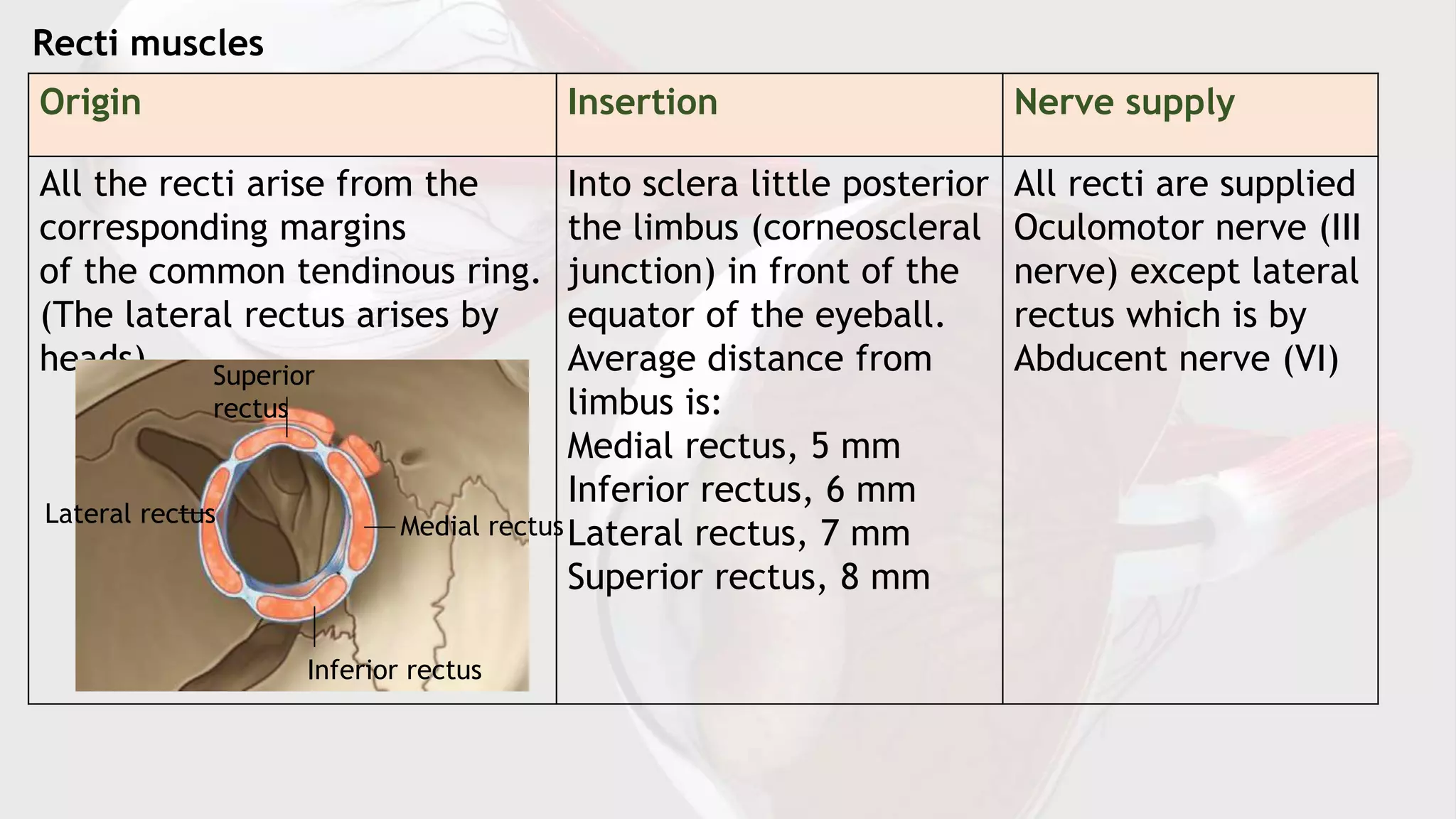 Anatomy of Orbit | PPTX