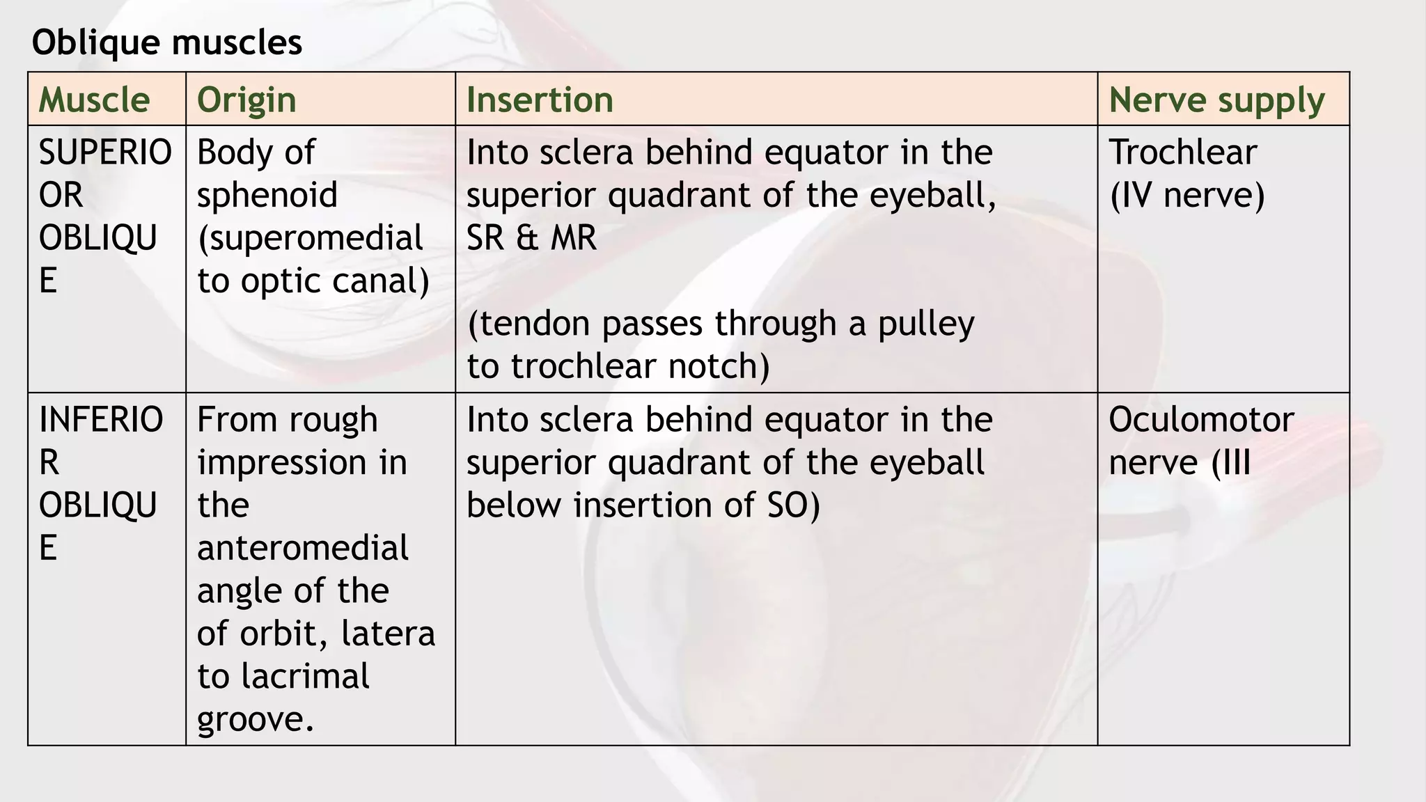 Anatomy of Orbit | PPTX