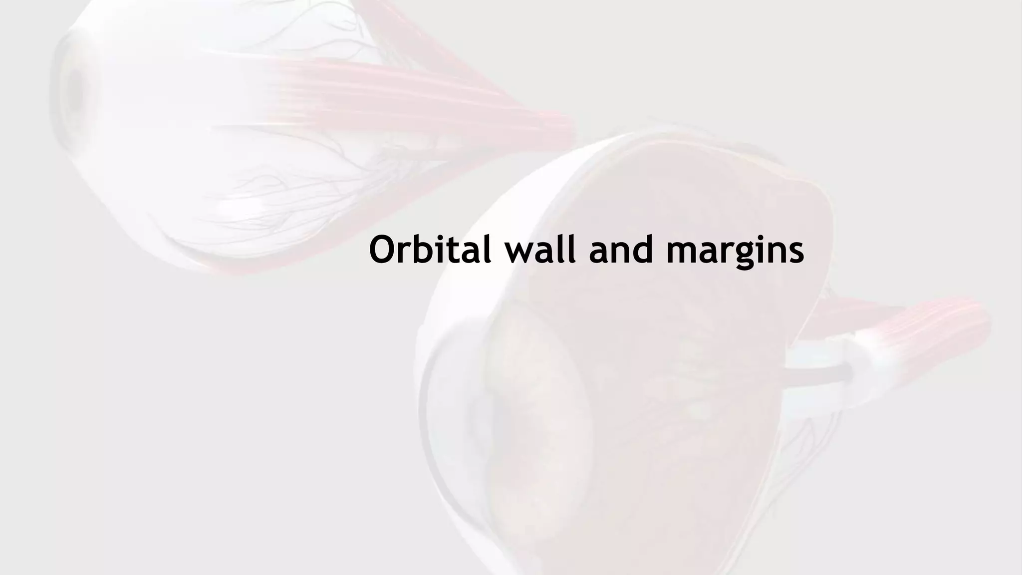 Anatomy of Orbit | PPTX