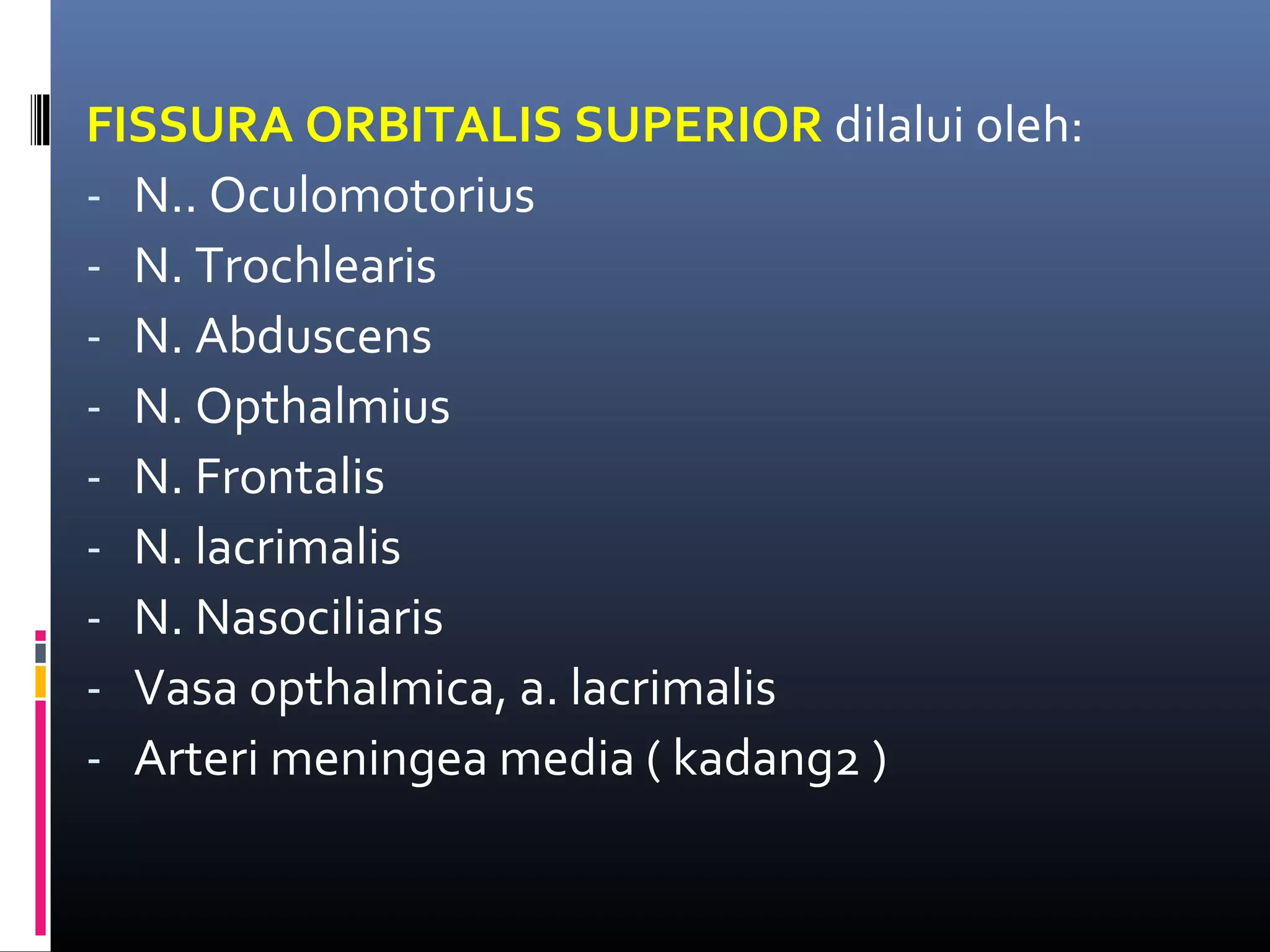 Orbita | PPT