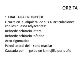 Orbita anatomia fracturas tratamiento qx | PPTX