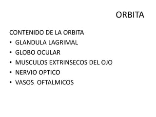 Orbita anatomia fracturas tratamiento qx | PPTX