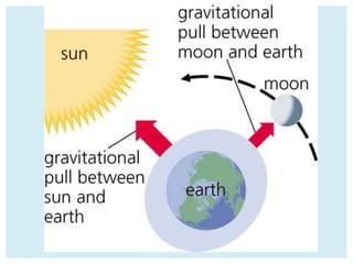 Weightlessness and Orbital.motion | PPTX | Physics | Science