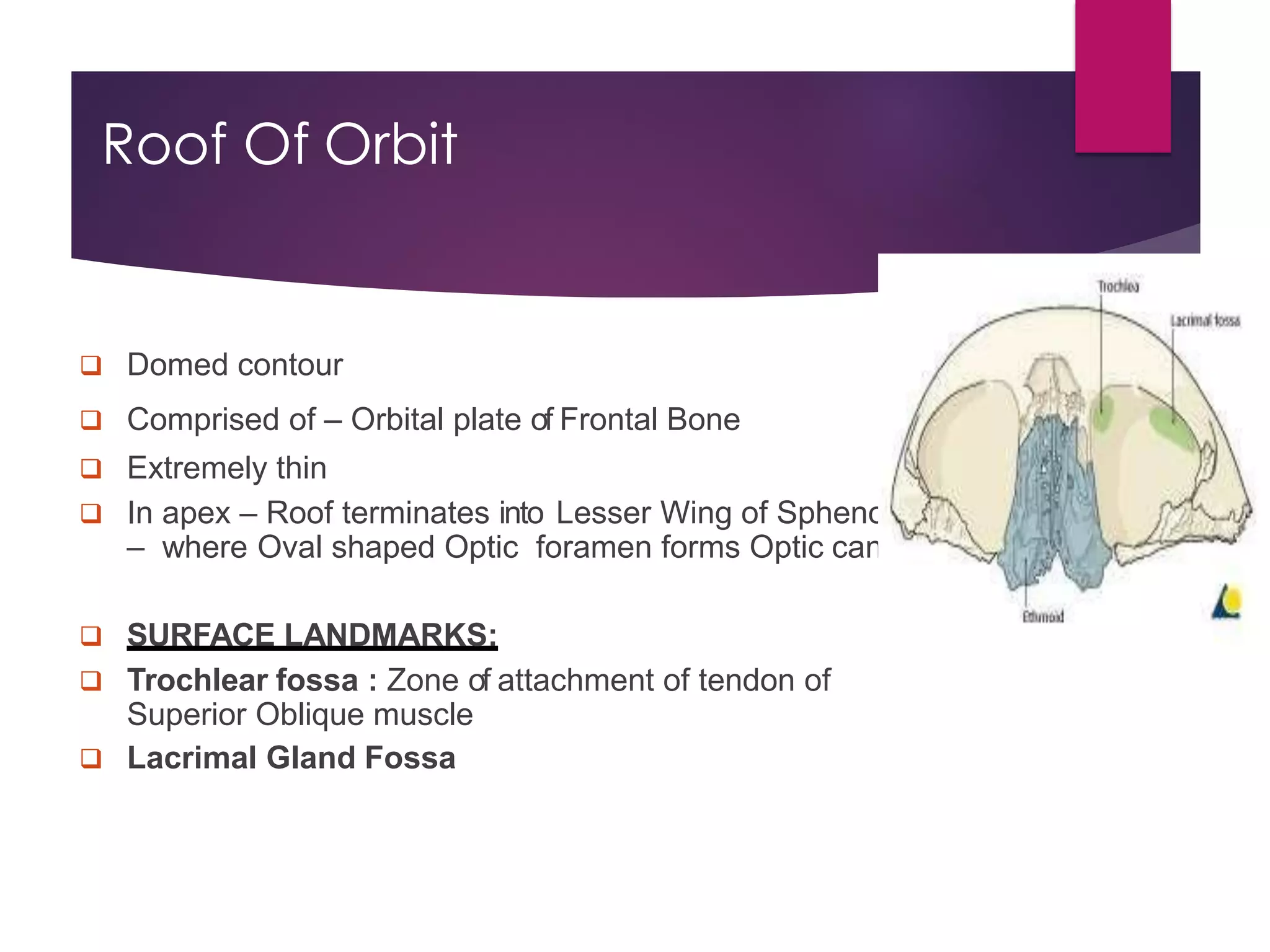 Orbital Fracture & Management | PDF