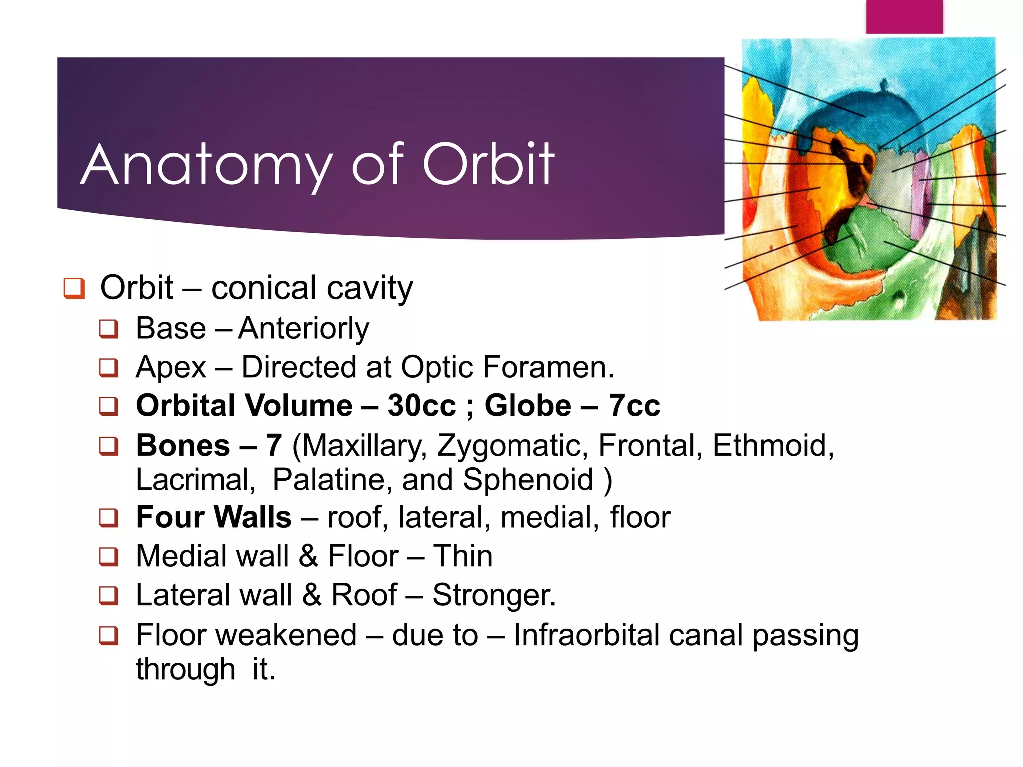 Orbital Fracture & Management | PDF