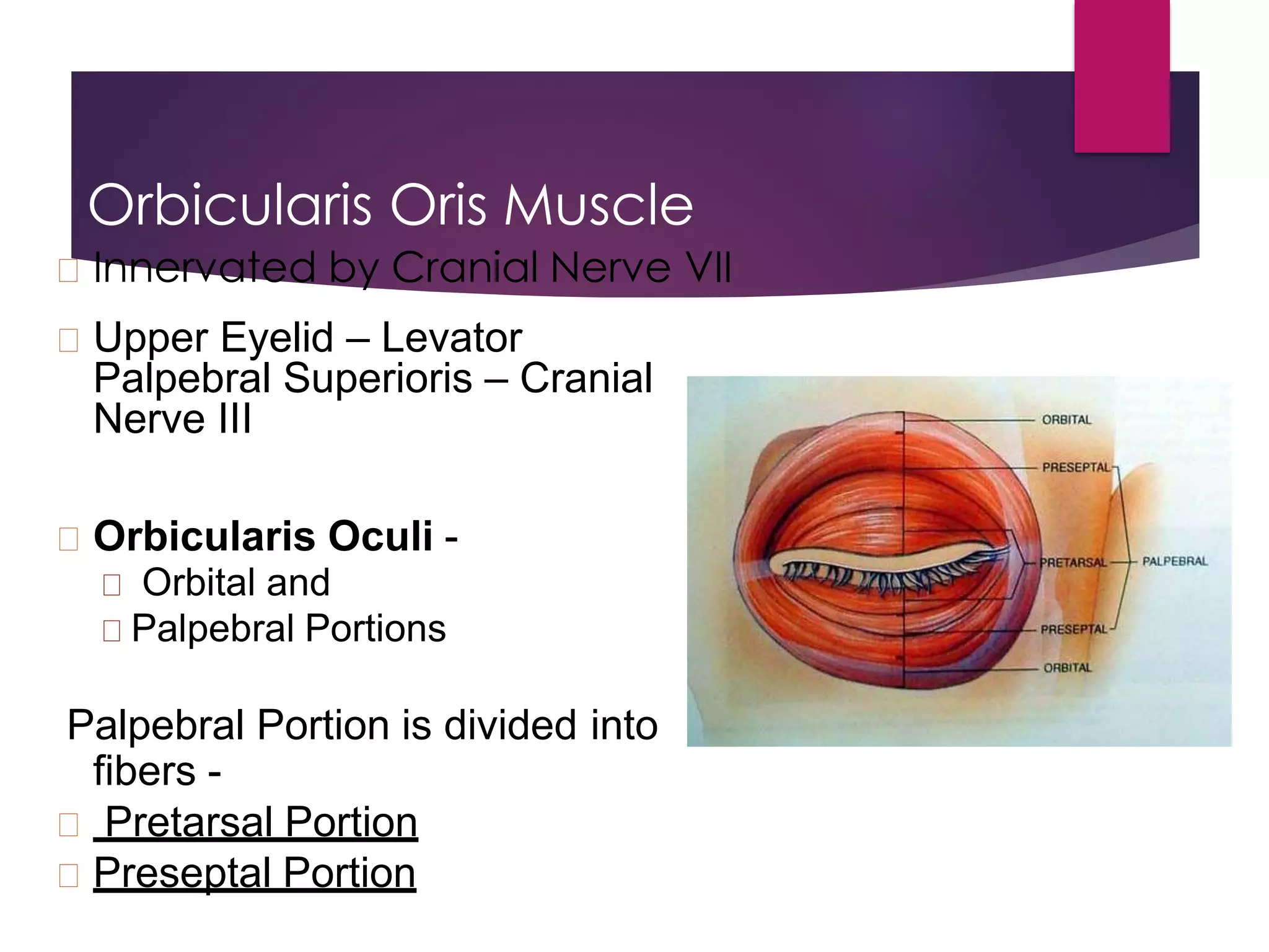 Orbital Fracture & Management | PDF