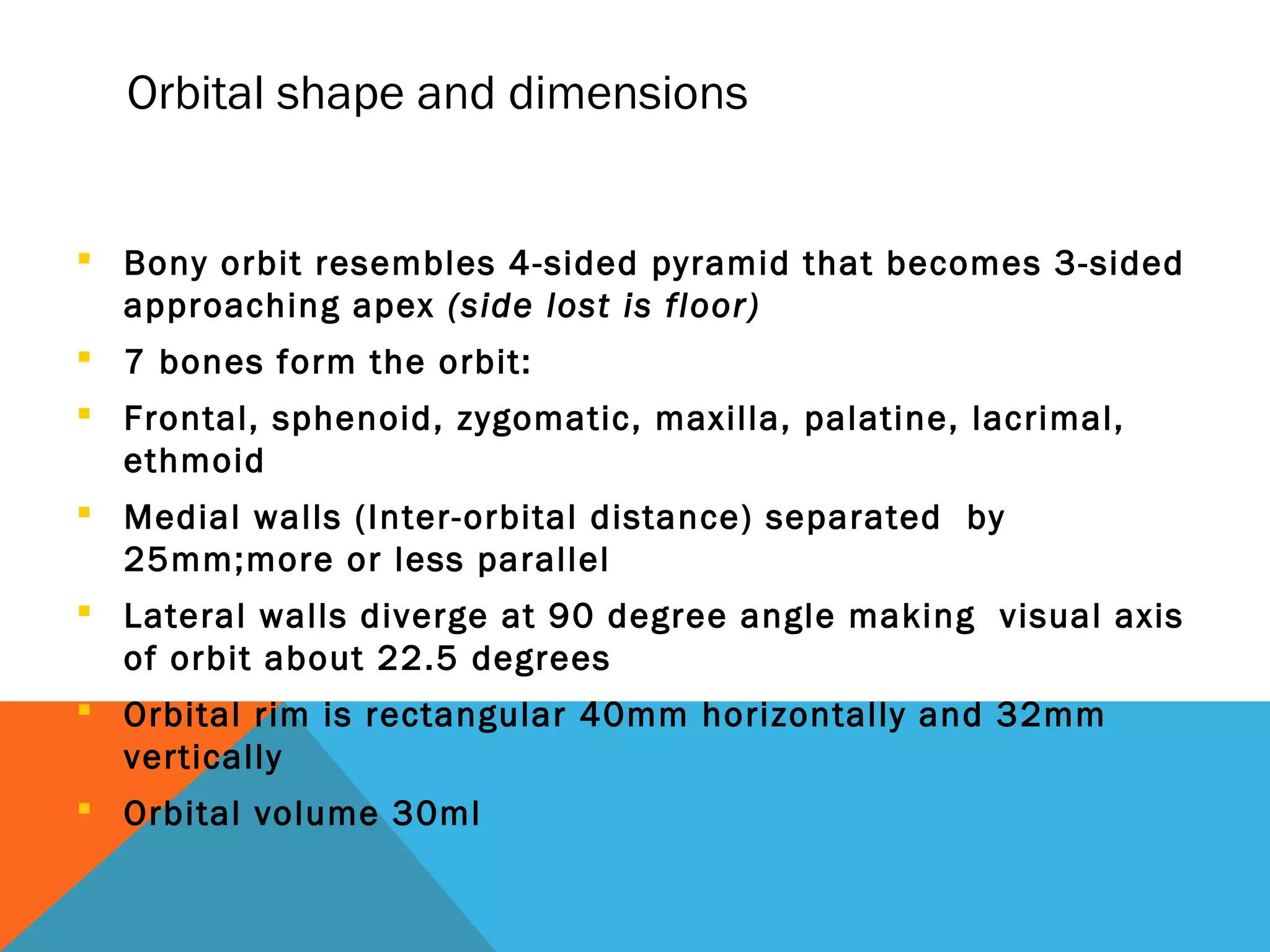 Orbital anatomy | PPT