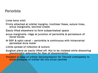 Orbital anatomy | PPT