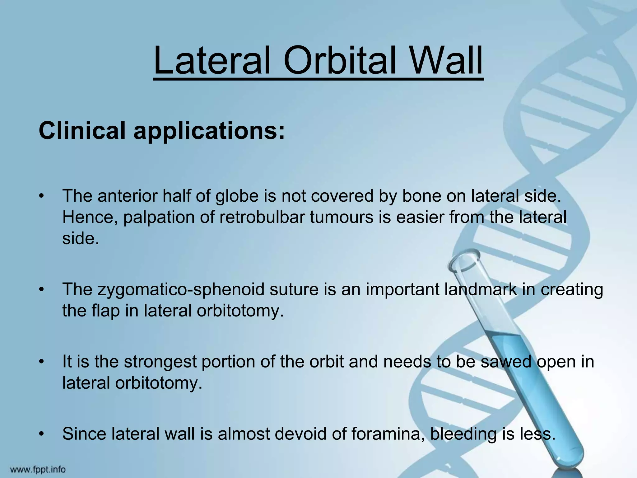 Orbital anatomy | PPTX
