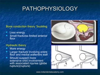Orbital anatomy and trauma /certified fixed orthodontic courses by ...