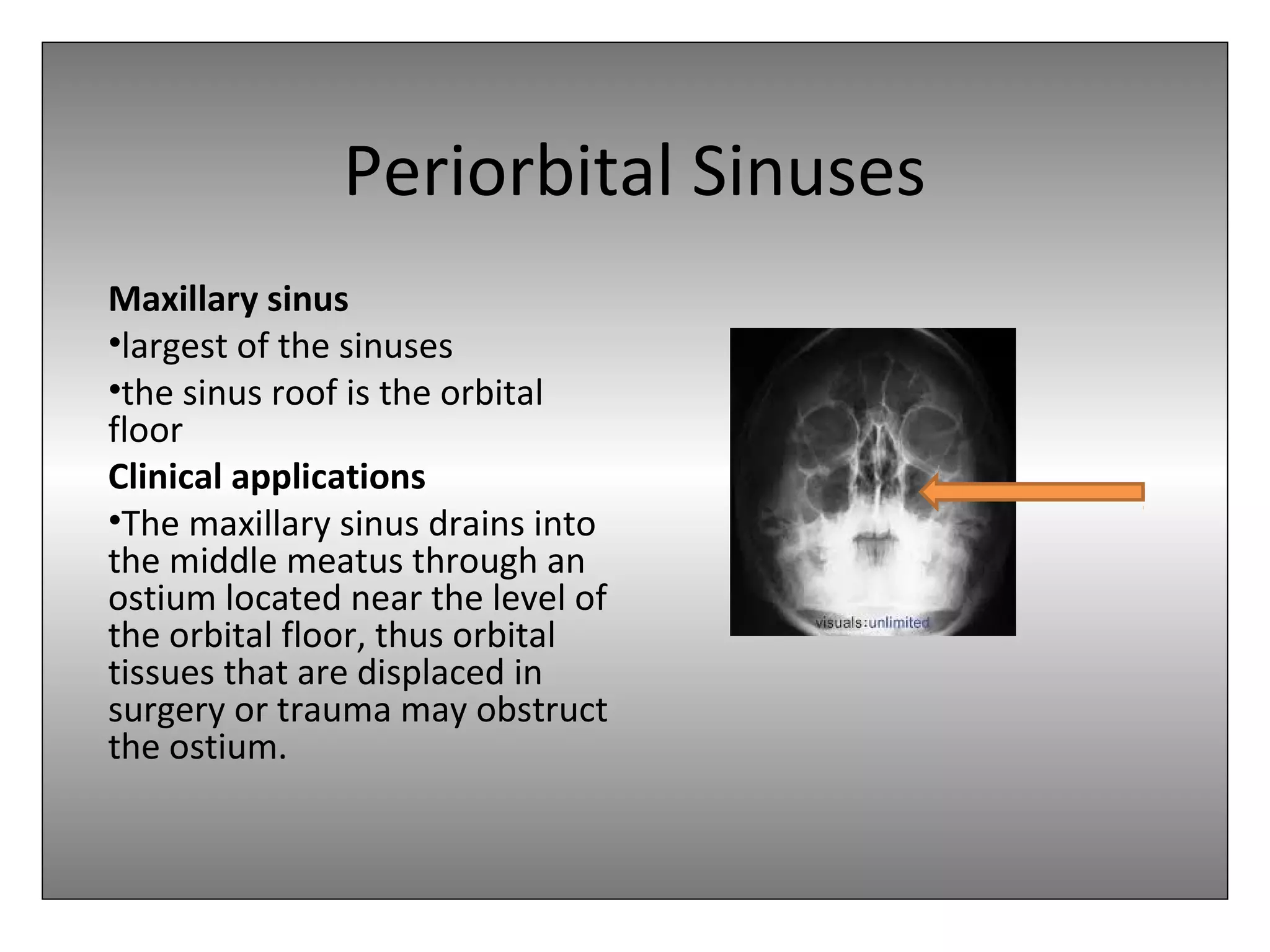 Orbital anatomy | PPT