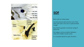 Orbital Apex conditions ophthalmology.pptx