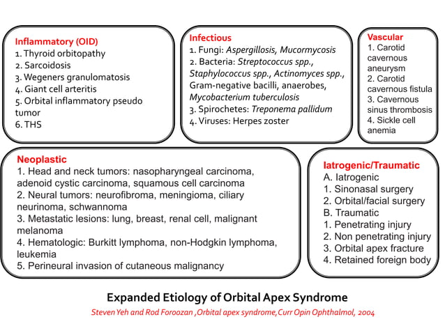Orbital Apex Syndrome | PPTX | Ear, Nose and Throat Conditions ...
