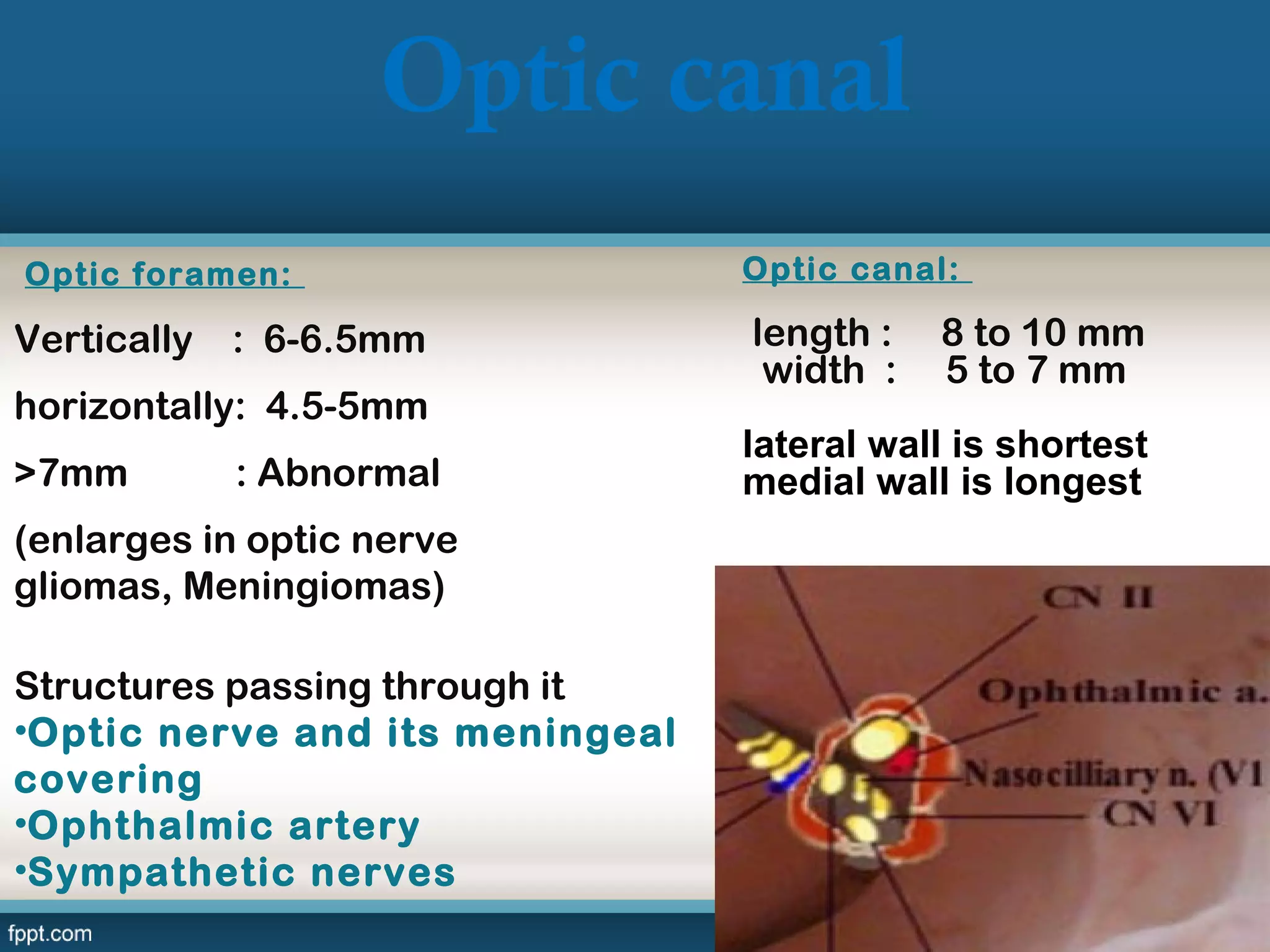 Orbital apex syndrome | PPT