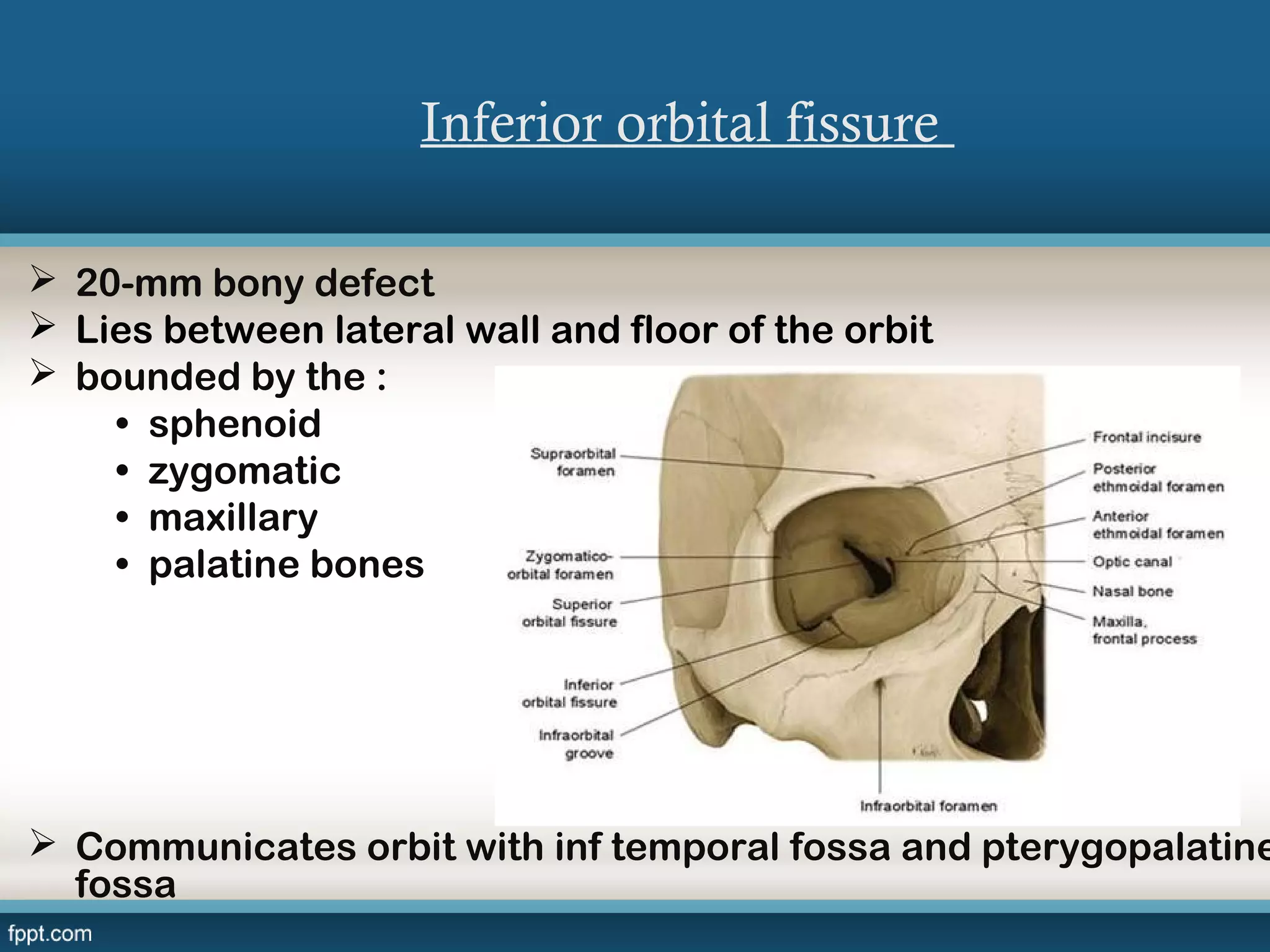 Orbital apex syndrome | PPT
