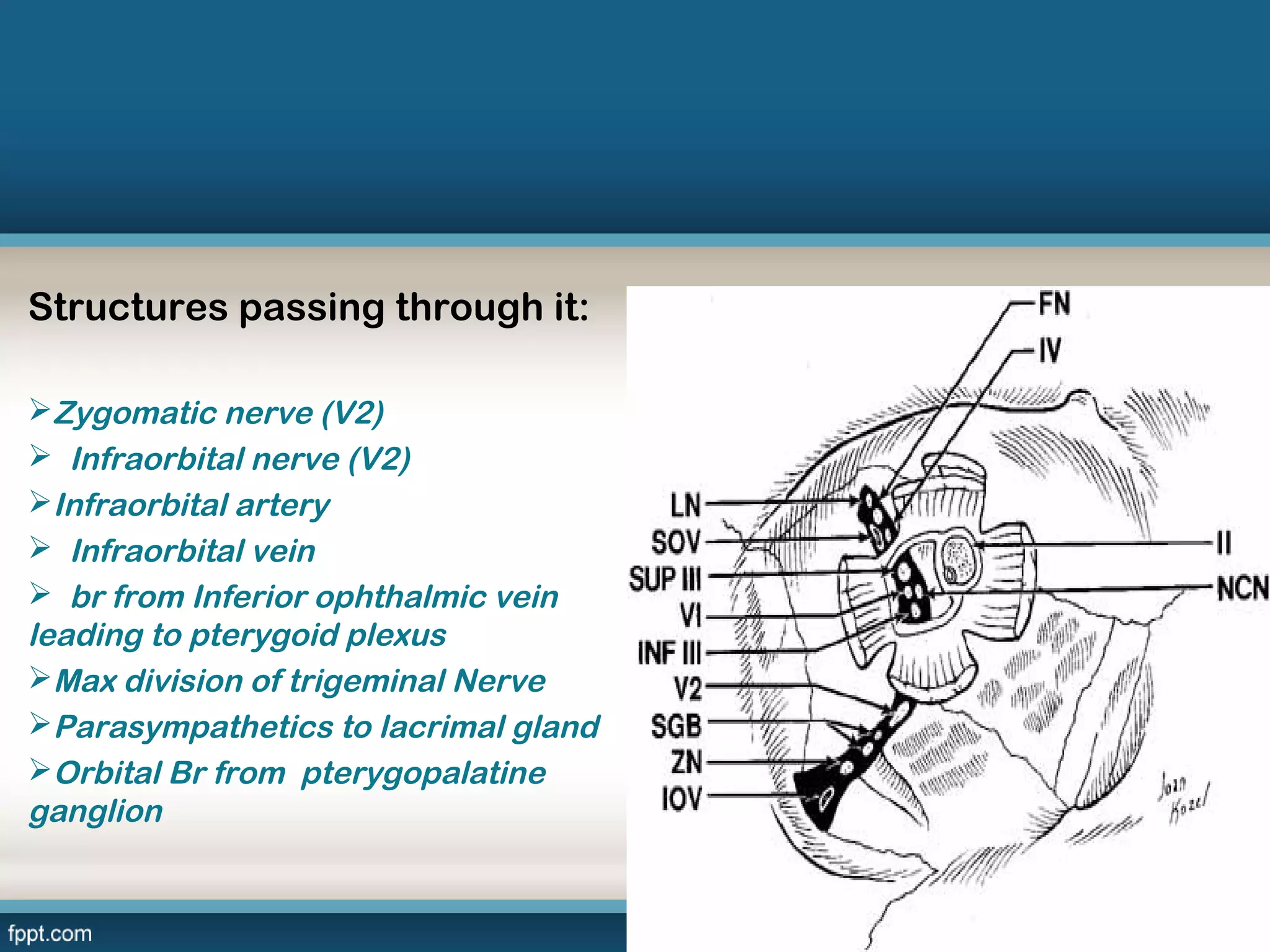 Orbital apex syndrome | PPT