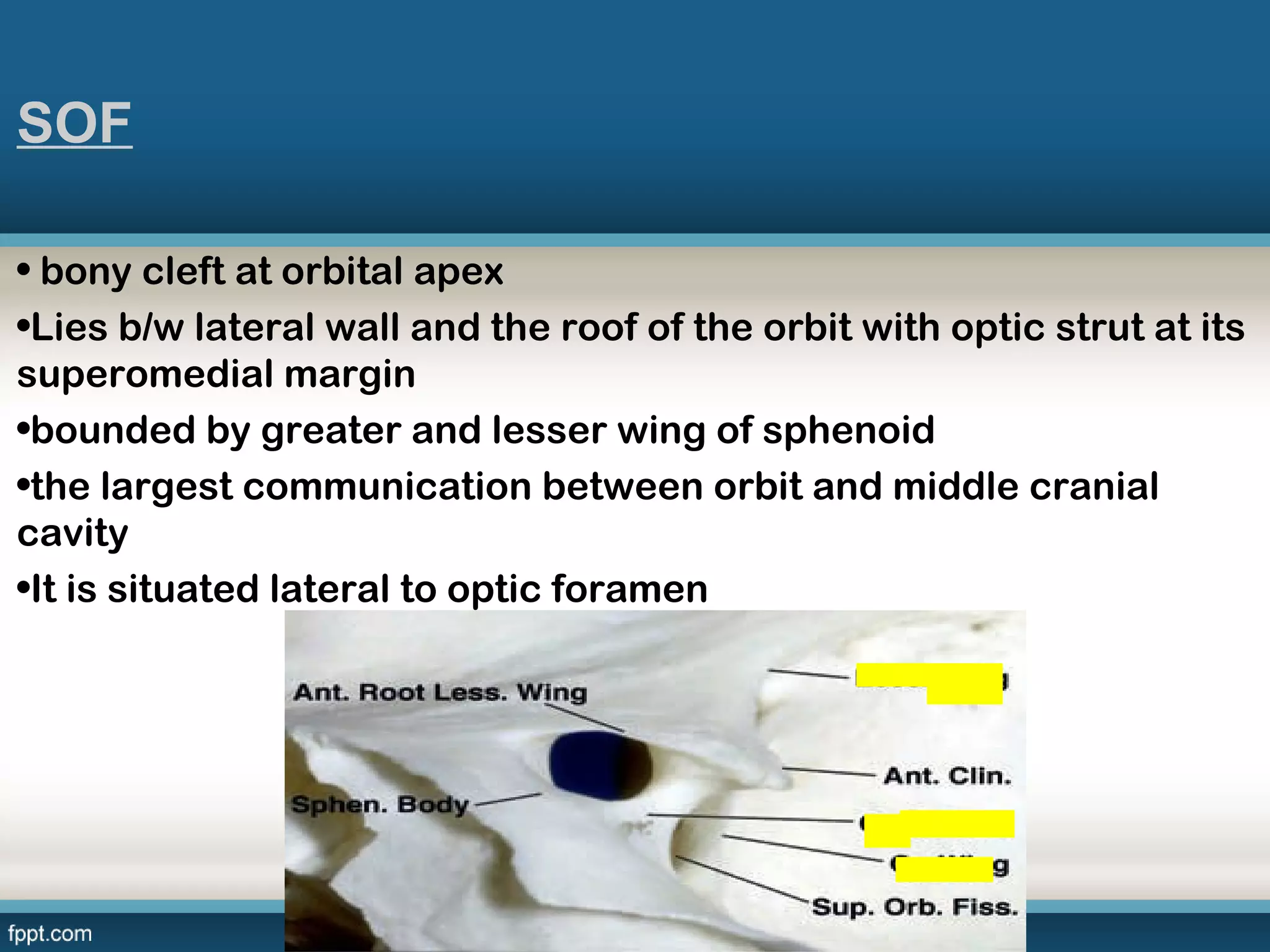 Orbital apex syndrome | PPT