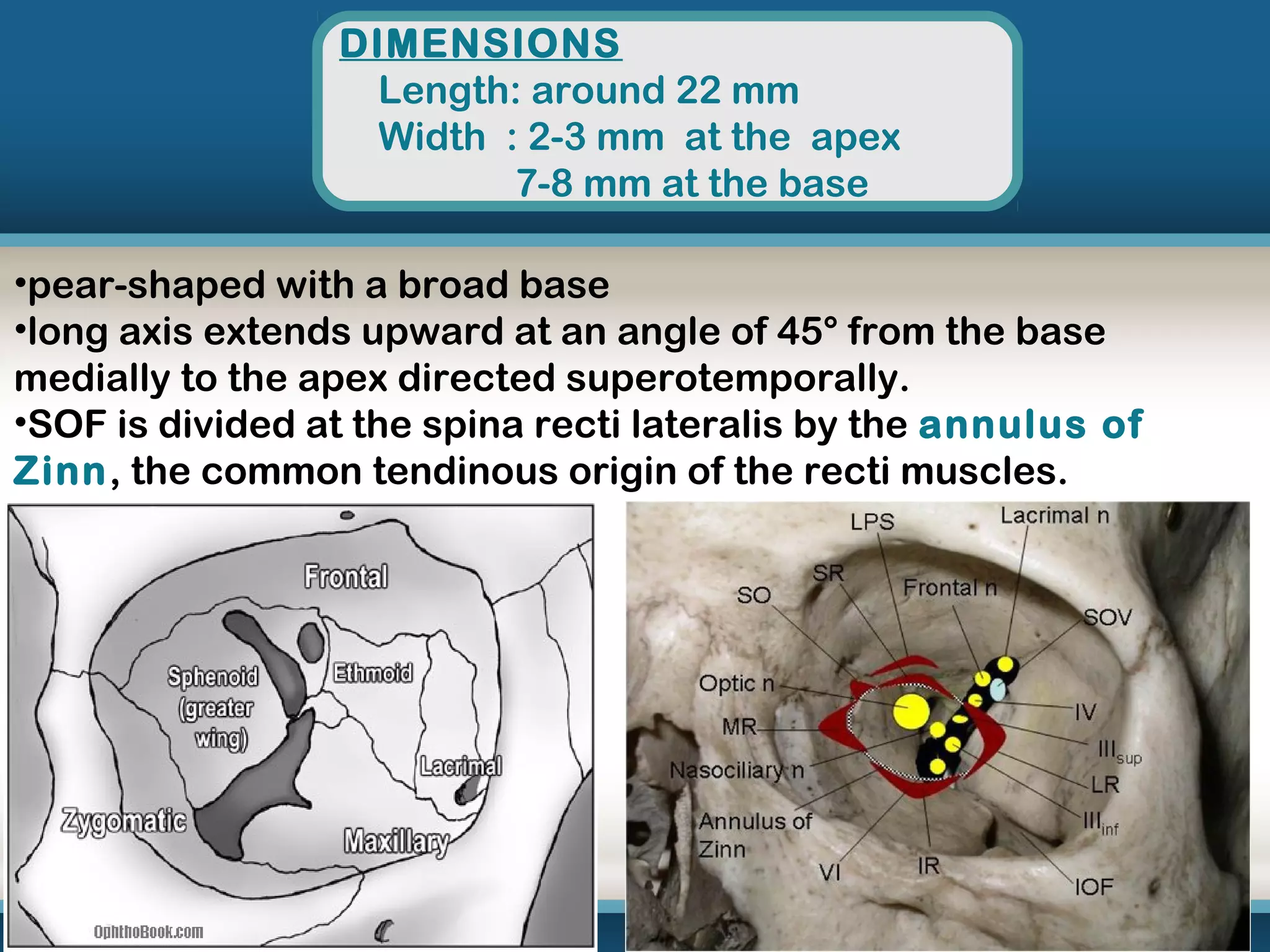 Orbital apex syndrome | PPT