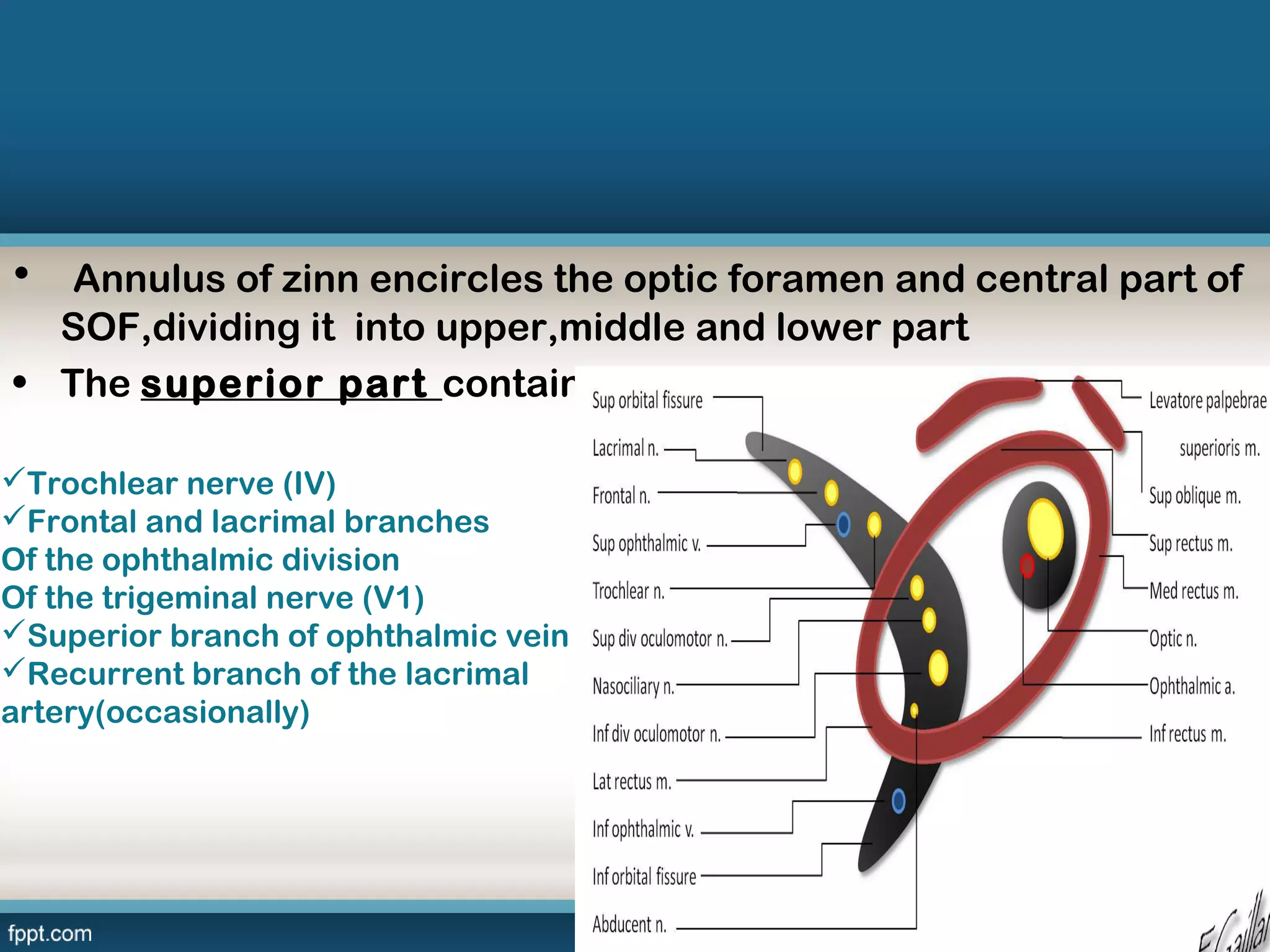 Orbital apex syndrome | PPT