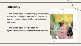 Orbital Apex Syndrome.pptx