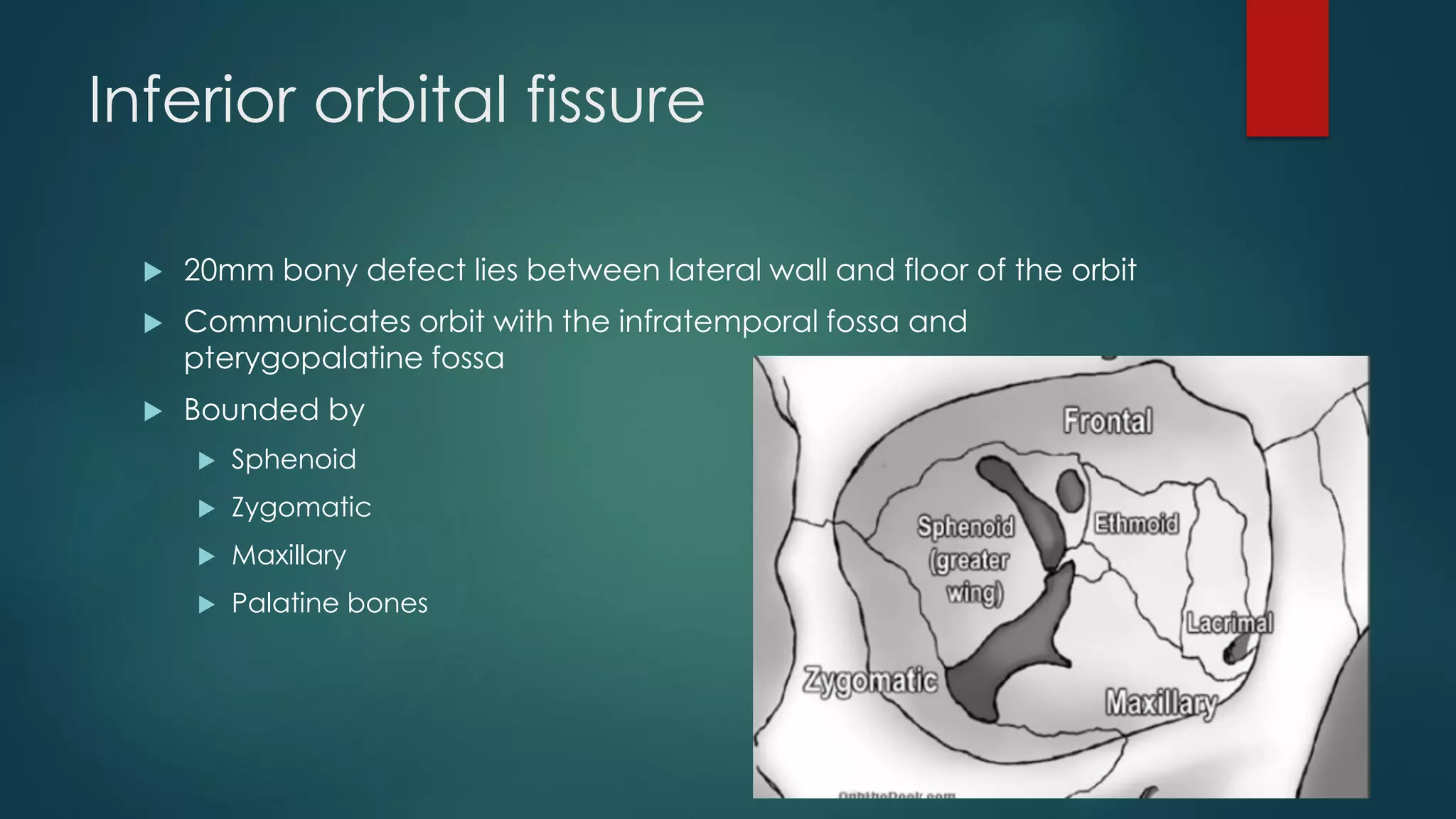 Orbital apex syndrome | PDF