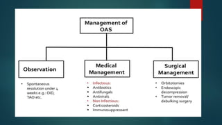 Orbital apex syndrome | PDF | Ear, Nose and Throat Conditions ...