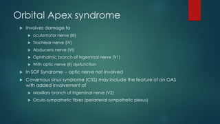 Orbital apex syndrome | PDF | Ear, Nose and Throat Conditions ...