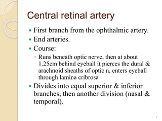 Orbital blood supply | PPTX